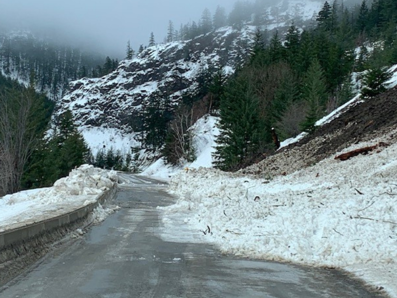 Abundance of avalanches quickly cleared by DRM // Dawson Group